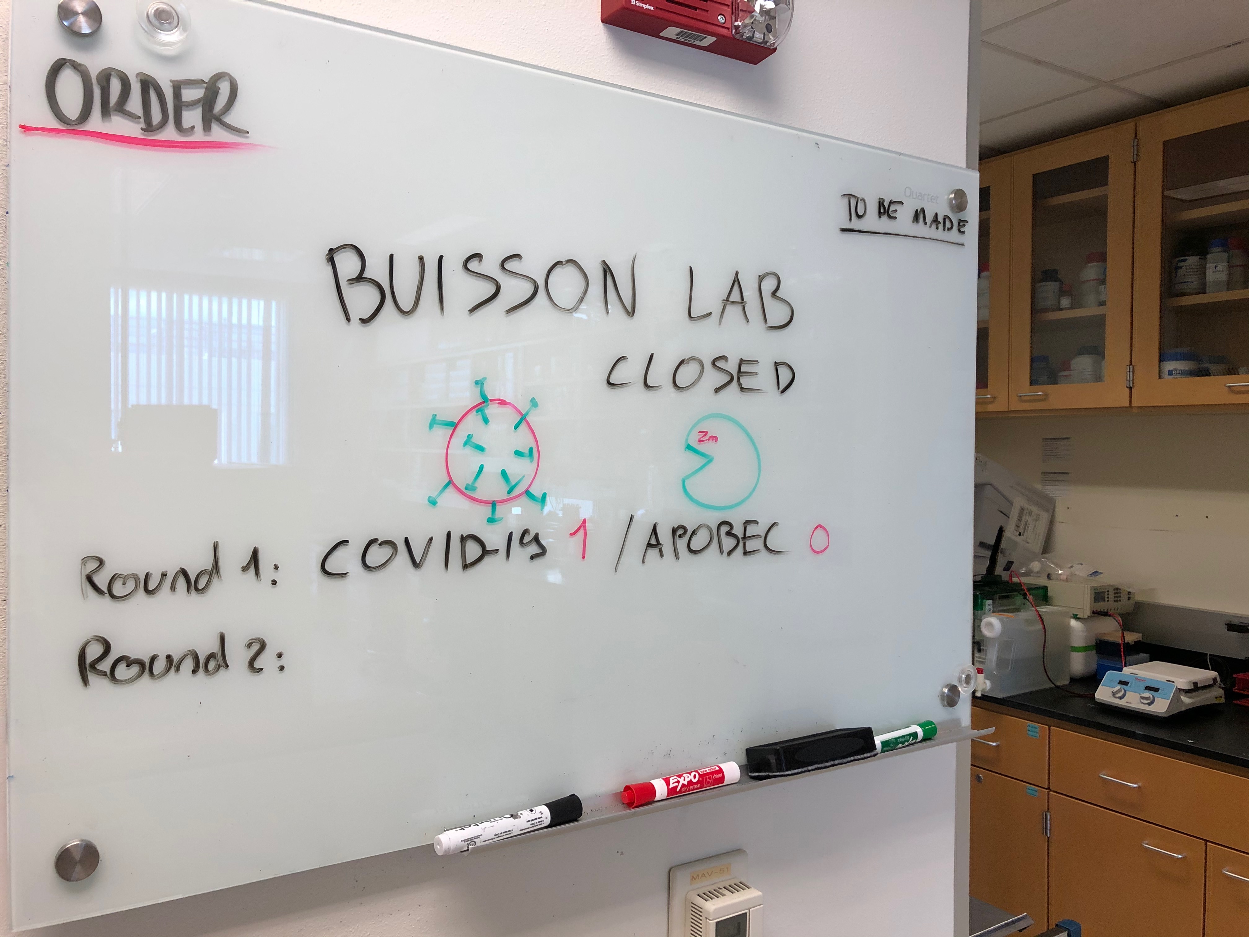 Lab News – Buisson Laboratory